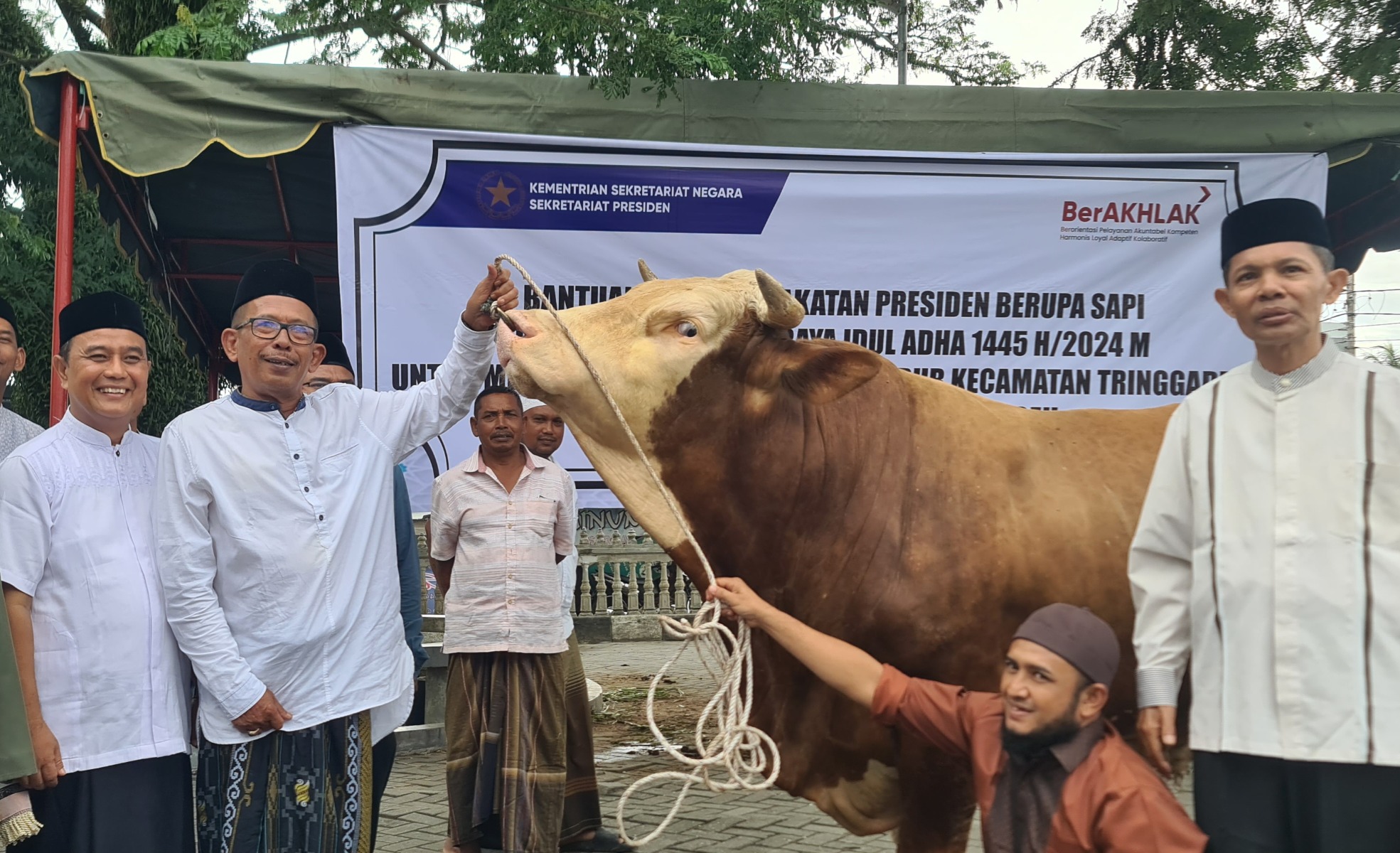 KEPALA DINAS PETERNAKAN ACEH SERAHKAN SAPI QURBAN BANTUAN PRESIDEN KE ...